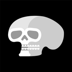 Cranium Skull Nose Vector Images (39)