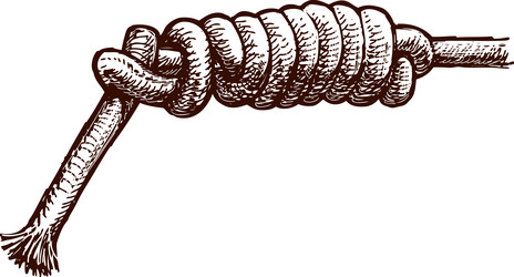 Rigging Vector Images (over 19,000)