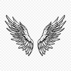 Angel Wings Side View Drawing