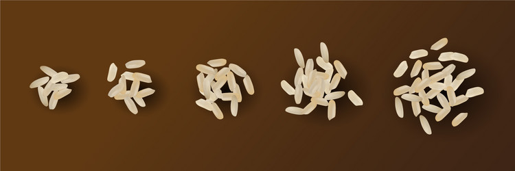 Realistic rice isolated Royalty Free Vector Image