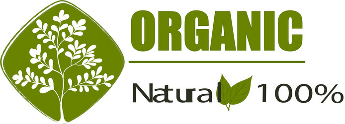 Natural orange juice label template Royalty Free Vector