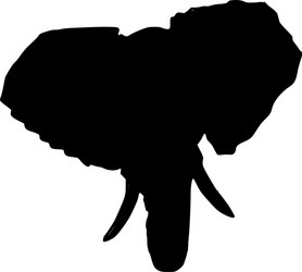 Elephant Front View Vector Images (over 200)