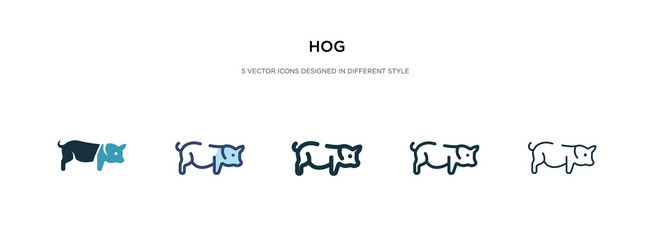 Boar icon in different style two colored Vector Image