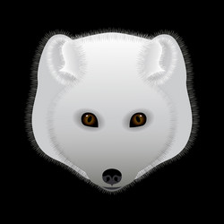 Arctic Fox Vector Images (over 1,100)