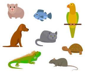 Home pets set isolated Royalty Free Vector Image