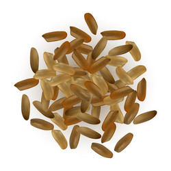 Realistic rice isolated Royalty Free Vector Image