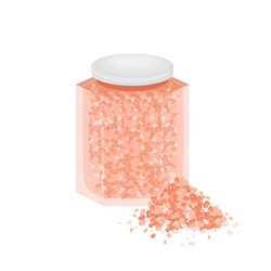 Himalayan Pink Salt Vector Images (over 150)