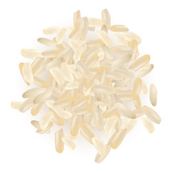 Realistic rice isolated Royalty Free Vector Image