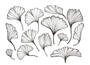 Florals line art sketch foliage set Royalty Free Vector