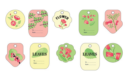 Trendy special tag designs with funny parrots Vector Image