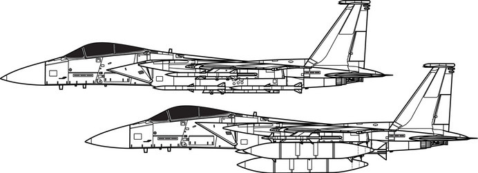 Mcdonnell douglas f-15c eagle Royalty Free Vector Image