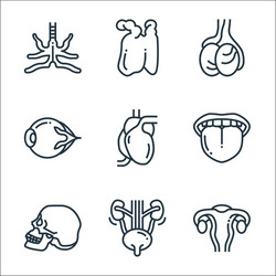 Cartoon Testicles Vector Images (over 220)