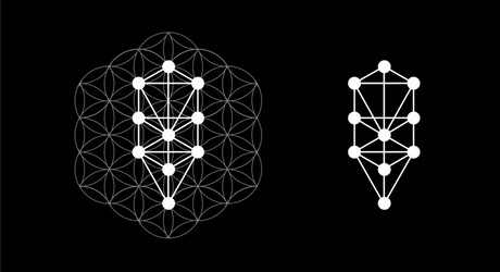 Kabbalah symbol isolated sacred geometry Vector Image