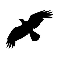 Raven silhouette Royalty Free Vector Image - VectorStock