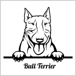 Bull Terrier Vector Images (over 2,400)