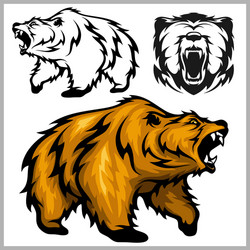 Big muscle grizzly bear mascot logo Royalty Free Vector