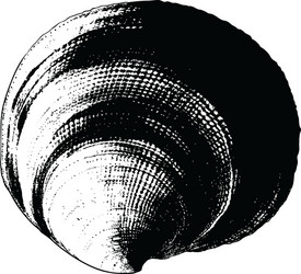Shell Black and White Vector Images (over 10,000)