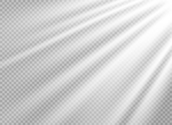 Sun rays effect template with transparent Vector Image
