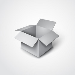 3d open white box realistic package cardboard Vector Image