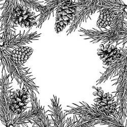 Fir tree and pine cone hand drawn square Vector Image