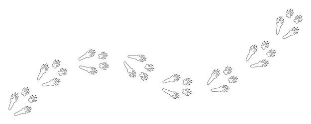 Path footprints of frog or toad tracks paw Vector Image