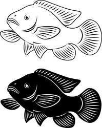 Animation Tilapia Fish Vector Images (over 150)