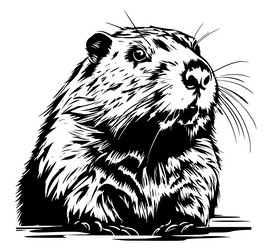 Beaver rodent mammal scratch board imitation Vector Image