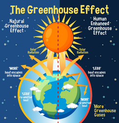 Diagram showing the greenhouse effect Royalty Free Vector