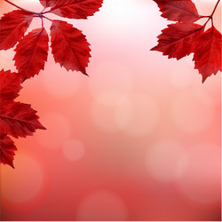 Red border Royalty Free Vector Image - VectorStock