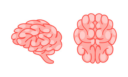 Brain Cartoons Vector Images within Education (over 18,000)