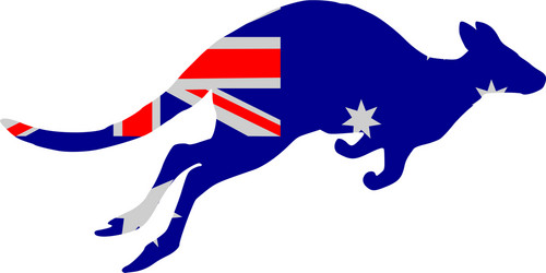 Palestine flag on a white Royalty Free Vector Image