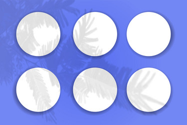 Tui Vector Images (90)