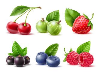 Berry fruit realistic set with isolated Royalty Free Vector
