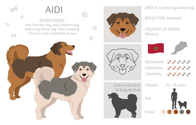 Pedigree Chart Vector Images (over 290)