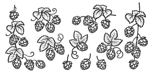 Filigree elements Royalty Free Vector Image - VectorStock