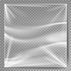 Transparent plastic packaging with lock or zip Vector Image