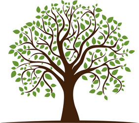 Big-tree Royalty Free Vector Image - VectorStock