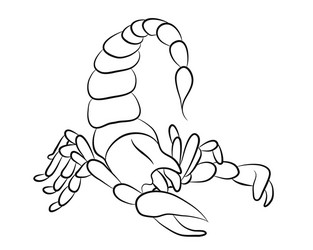 Line Art Scorpion Vector Images (over 680)