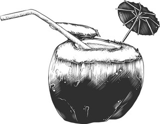 Coconut Shake Vector Images (over 350)