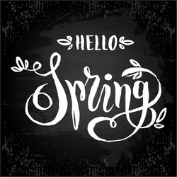 Unique handwritten lettering spring drawn Vector Image