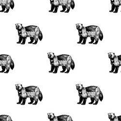 Wolverine Animal Vector Images (over 280)