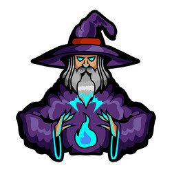 Wizard turtle color stroke high quality Royalty Free Vector