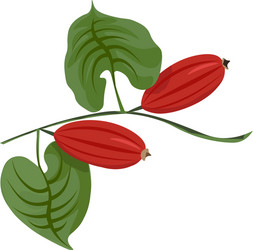 Calyx Vector Images (over 250)