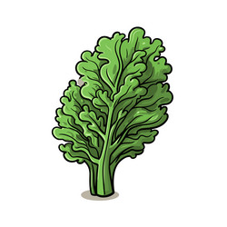 Kale hand-drawn doodle style cartoon Royalty Free Vector