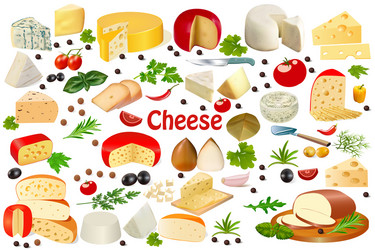Set of different types cheese on a white Vector Image