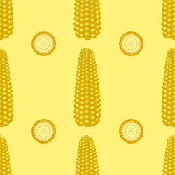 Corn cobs Royalty Free Vector Image - VectorStock