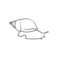Snail continuous line art drawing Royalty Free Vector Image