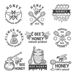 Honey Labels Vector Images (over 12,000)