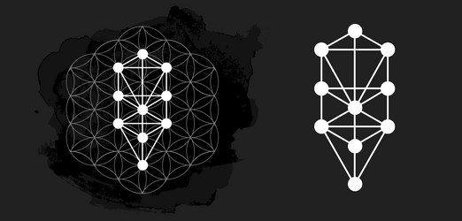 Tree of Life Symbol Sacred Geometry Vector Images (over 100)