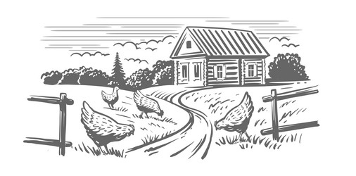 Countryside landscape with chicken farm sketch Vector Image
